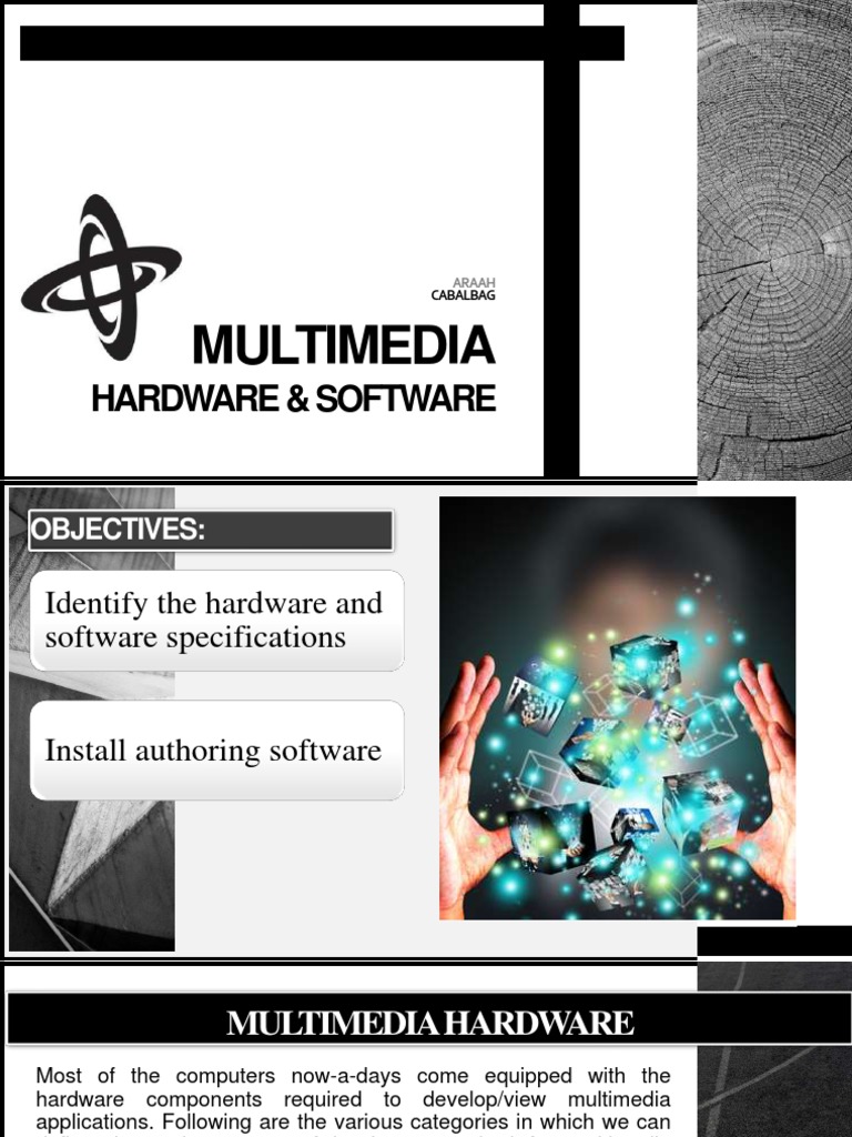Multimedia: Hardware & Software | PDF | Computer Data Storage | Multimedia