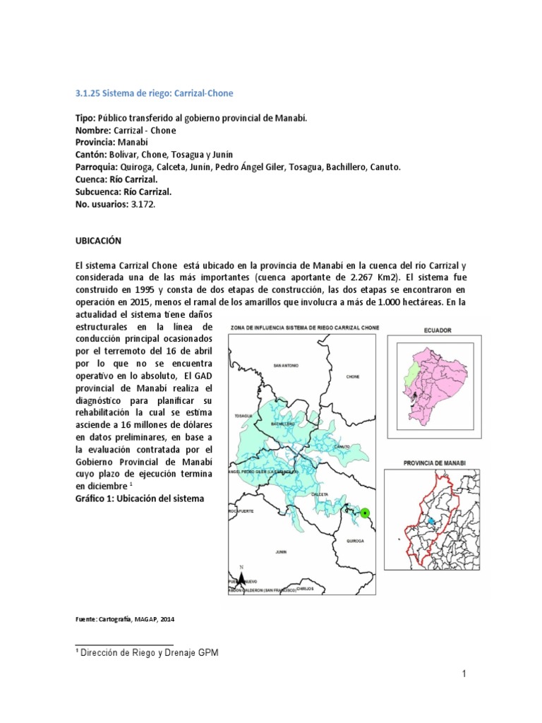 DEFINITIVO Carrizal-Chone | PDF | Riego | Agricultura
