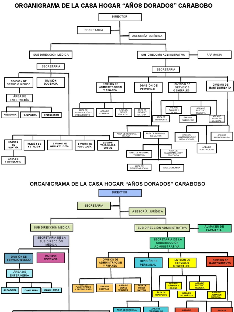 Organigrama Casa Hogar | PDF | Industrias de servicio | Ciencias de la vida