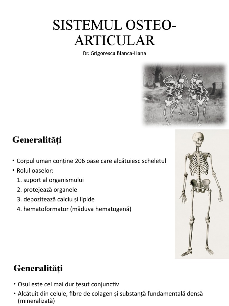 Curs 3 - Inginerie Medicala - Sistemul Osteo-Articular - Oana-2 | PDF