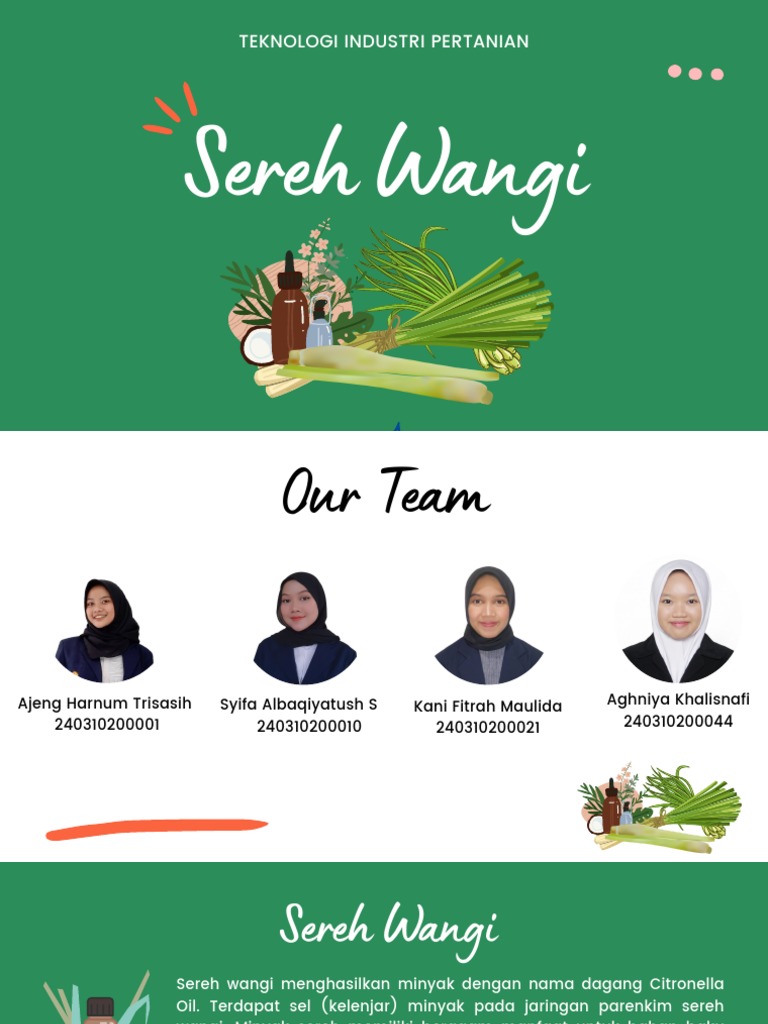 Minyak Atsiri Sereh Wangi | PDF