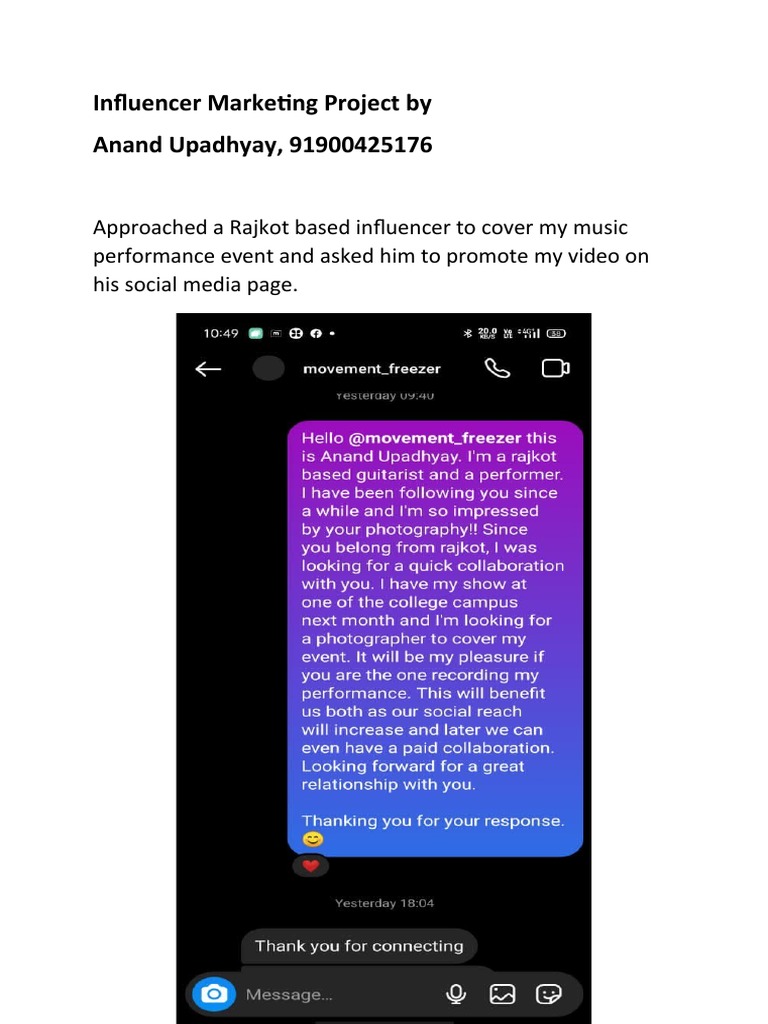 Influencer Marketing Project | PDF