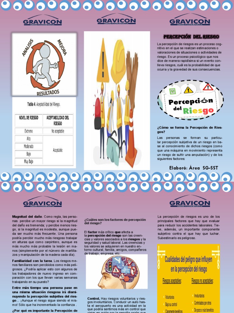 Percepcion Del Riesgo | Descargar gratis PDF | Riesgo | Percepción