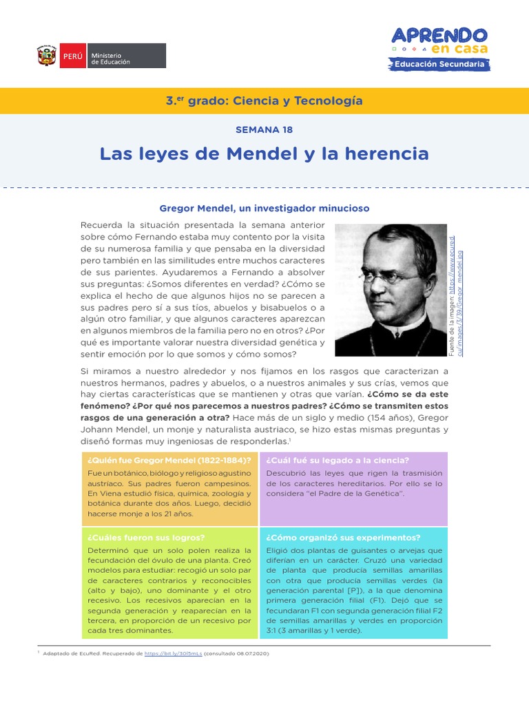 Primera Ley de Mendel: Uniformidad Genética | PDF | Dominancia ...