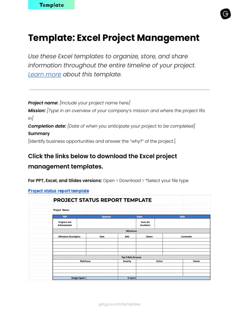Project Management - Excel Project Management Template | PDF