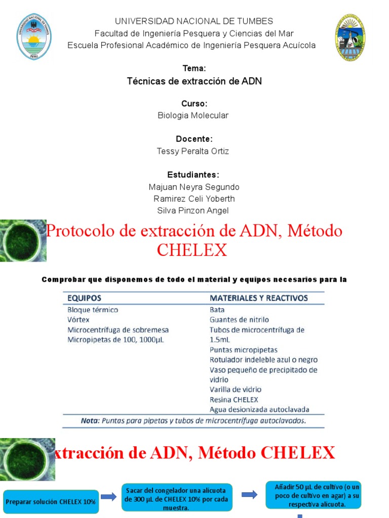 Técnicas de Extracción de ADN | PDF | Química | Ciencias fisicas