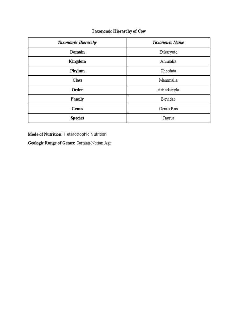 Cow Taxonomic Classification | PDF