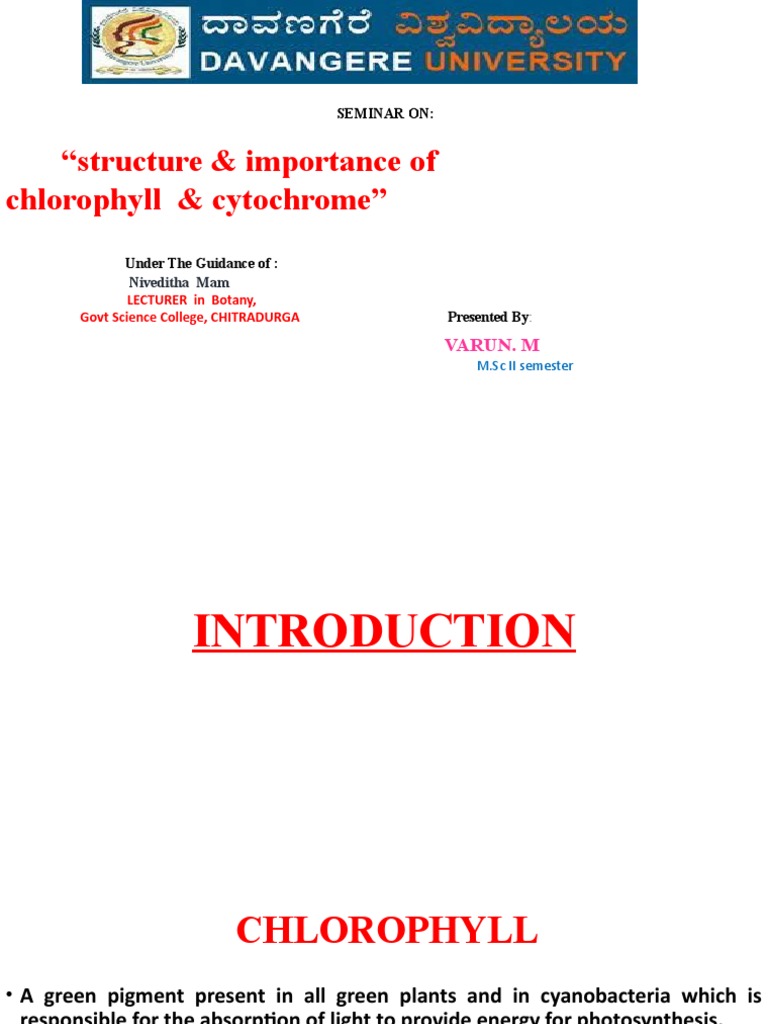 Varun II Seminar | PDF | Chlorophyll | Cytochrome