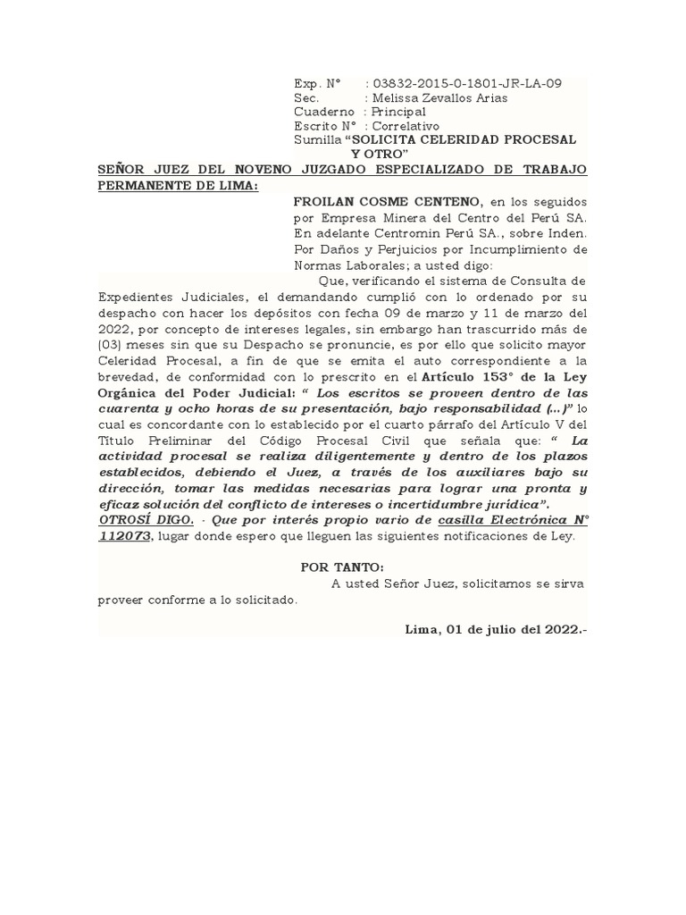 Celeridad Procesal | PDF