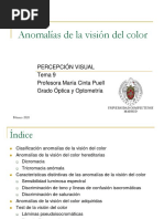 Defectos y Teorías de la Visión Cromática | PDF | Color | Percepción visual