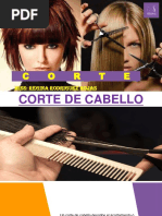 TEORIA de CORTE DE CABELLO | PDF | Pelo | Cráneo