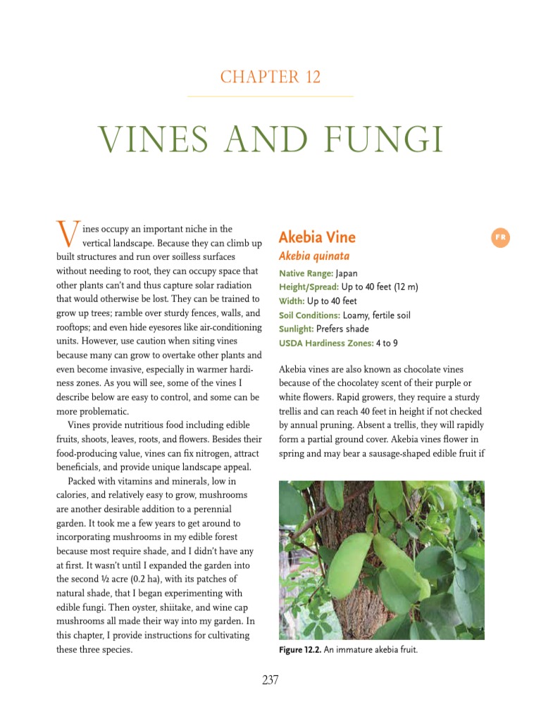 Akebia Vine: Growth, Care, and Uses | PDF | Horticulture | Agriculture