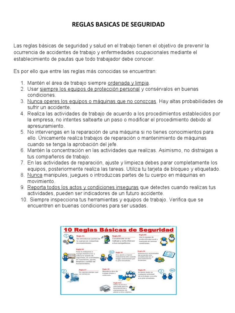 Reglas Basicas de Seguridad | PDF