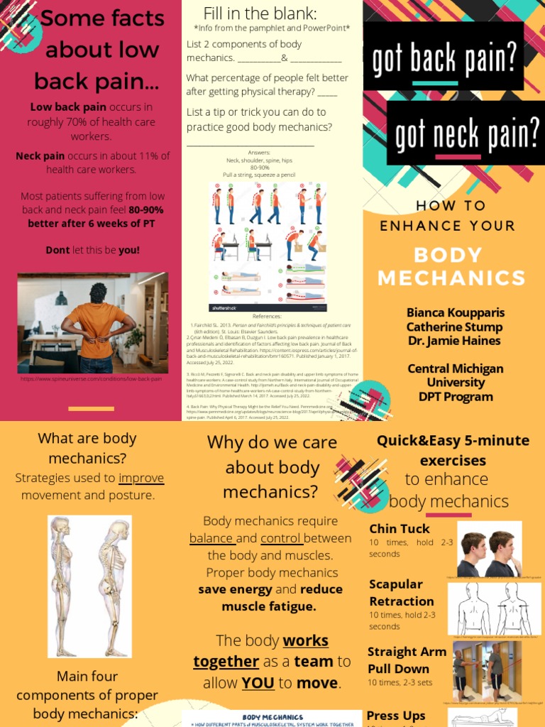 Body Mechanics Final One | PDF | Physical Therapy | Back Pain