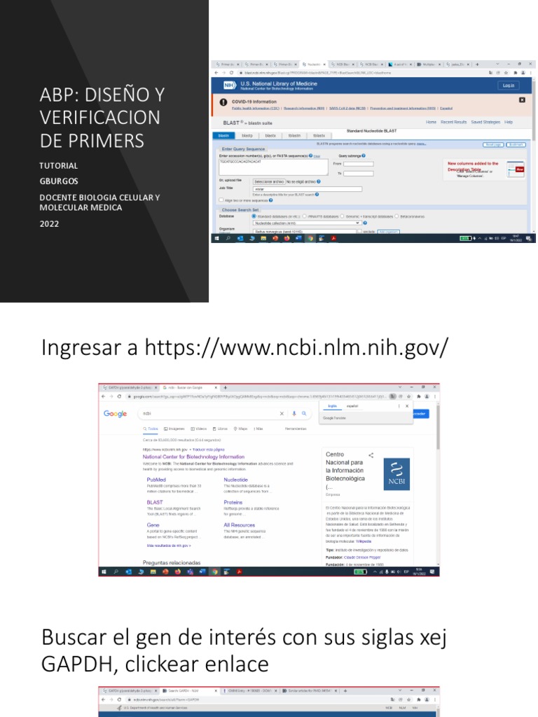 Ejercicio Clase Diseño Primers | PDF