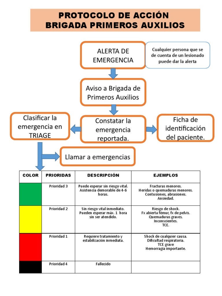 Protocolo de Accion de Primeros Auxilios | PDF | Primeros auxilios | Emergencias Médicas