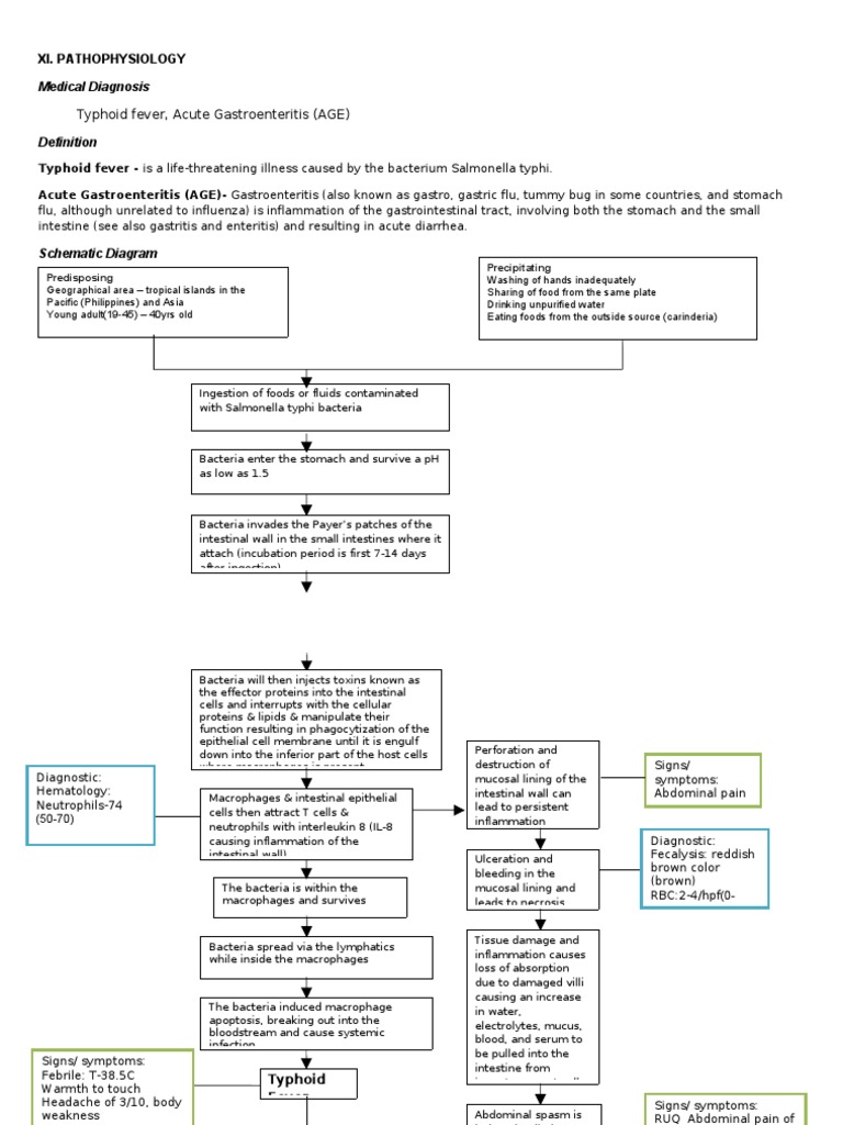 Pa Tho Physiology of Typhoid Fever and Acute Gastroenteritis | PDF ...