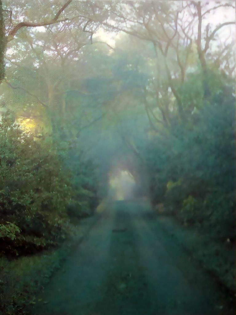 As Descobertas Médicas Do Dr. Edward Bach - Nora Weeks | PDF ...