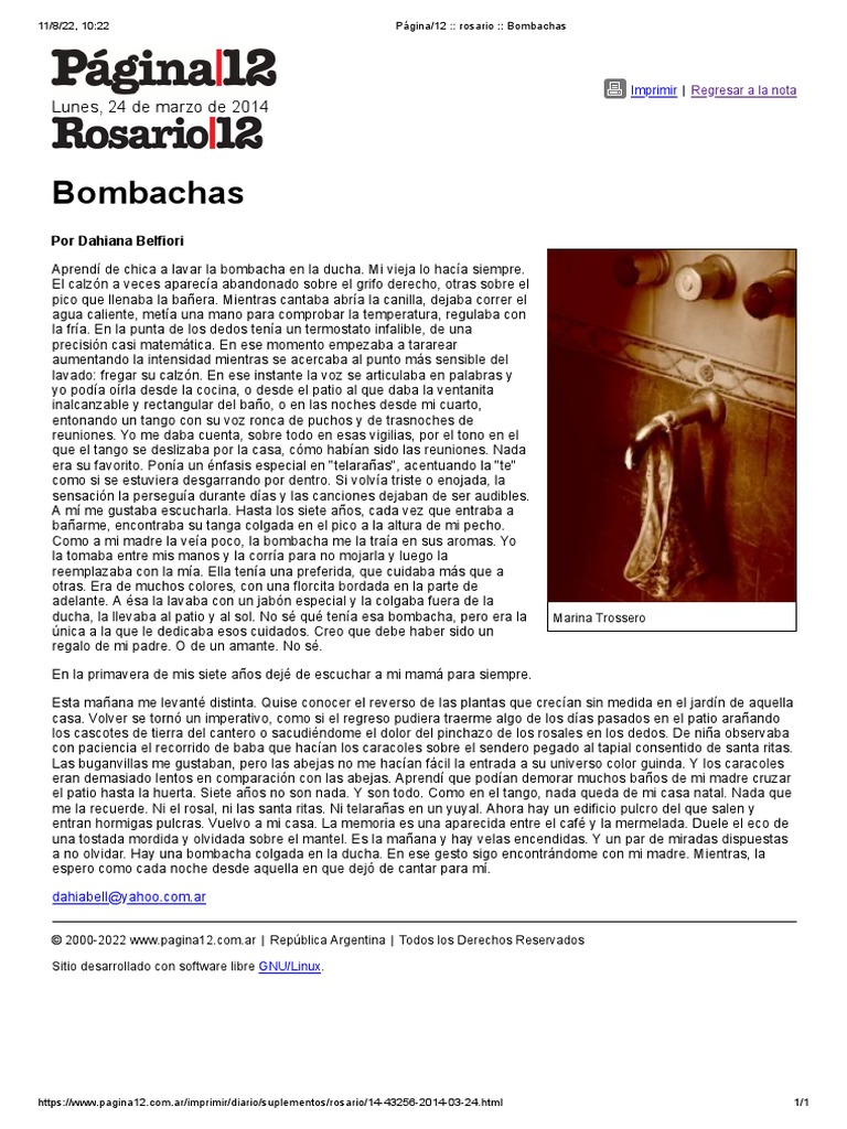 Bombachas - Belfiori Dahiana | PDF | Arte