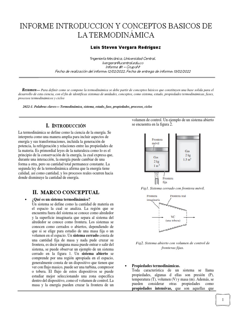 Informe Introduccion y Conceptos Basicos Termodinamica | PDF | Termodinámica | Sistema