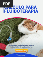 Cistocentesis | PDF | Vejiga urinaria | Ciencias de la Salud