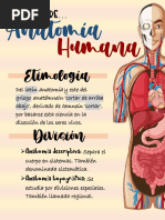 Esquema Zuspan | PDF | Unión neuromuscular | Neuroquímica