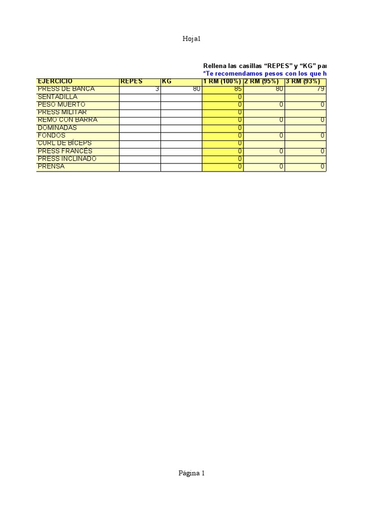 Calculadora RM | PDF