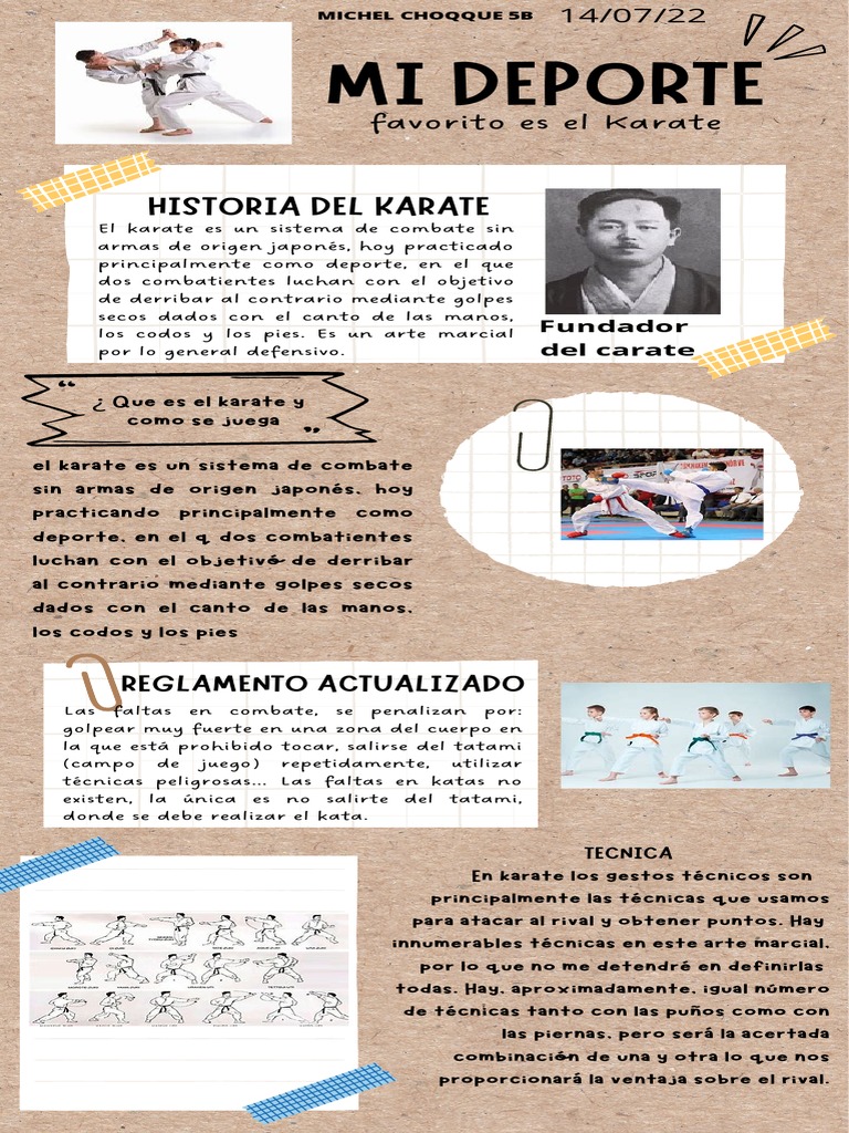 infografía del karate | PDF