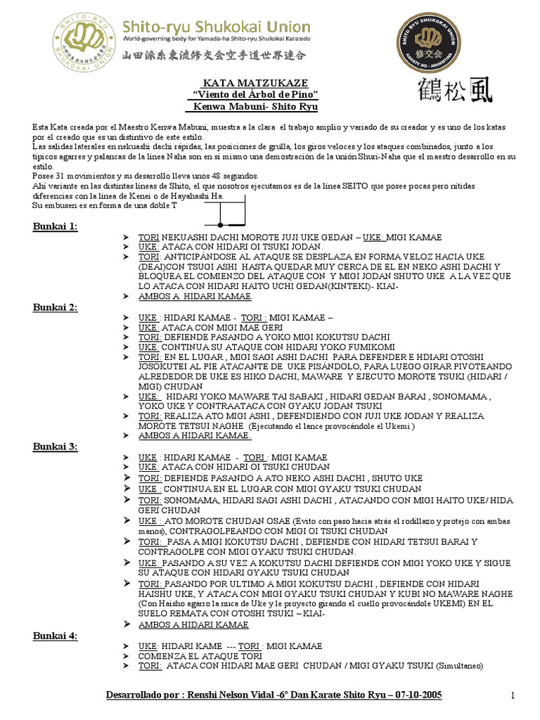 Bunkai DE TRES KATAS PAIKU, MATZUKAZE Y JITTE CON HISTORIA NV | PDF ...