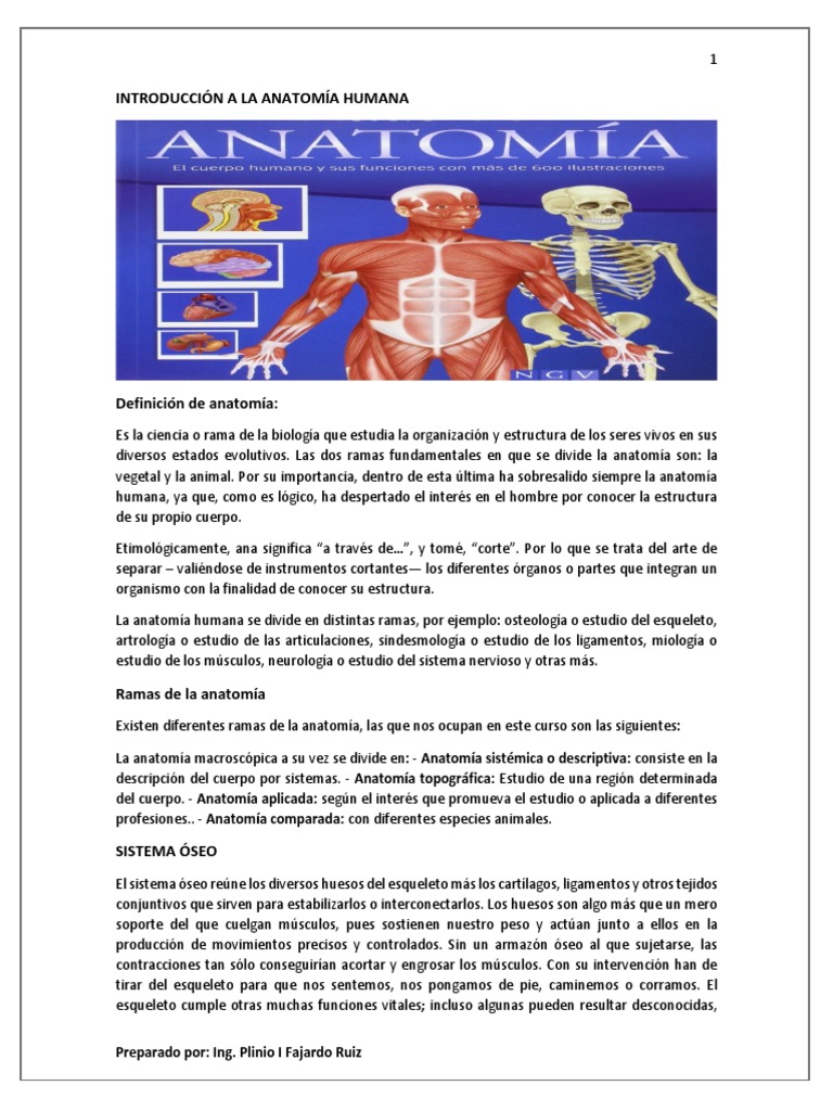 Introducción a La Anatomía Humana (1) | PDF | Hueso | Esqueleto