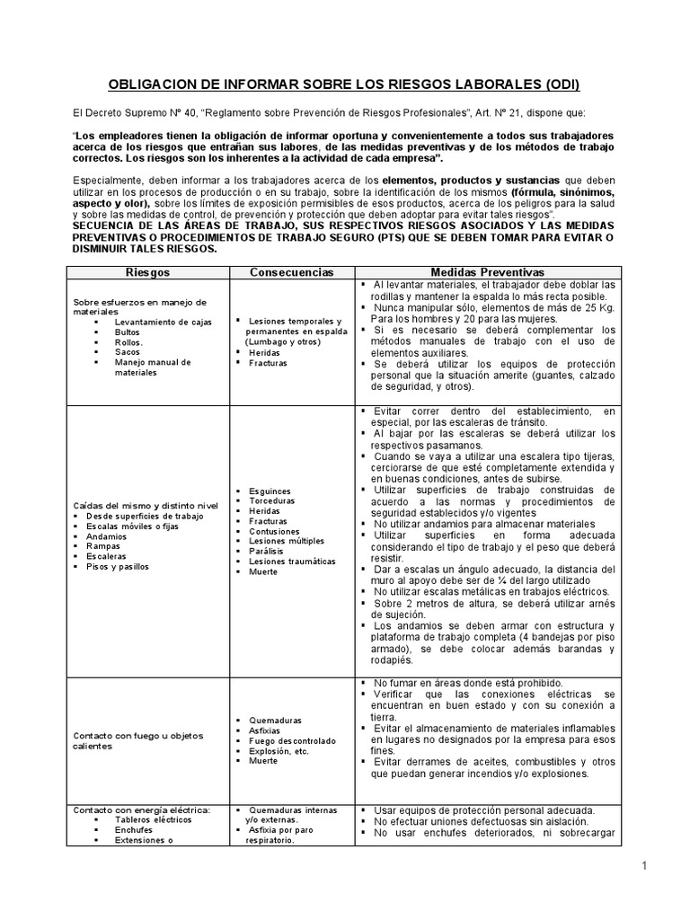 Formato ODI General | PDF | Protector solar | Quemar