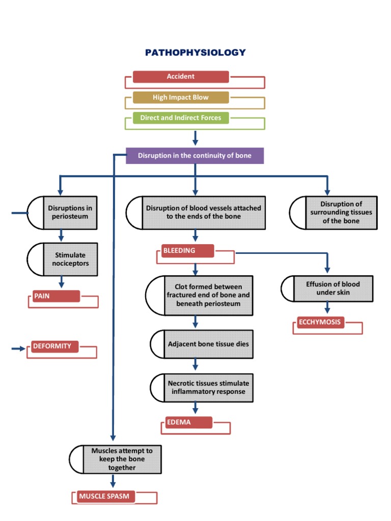Data Structure and Encoding Analysis | PDF | Science & Mathematics