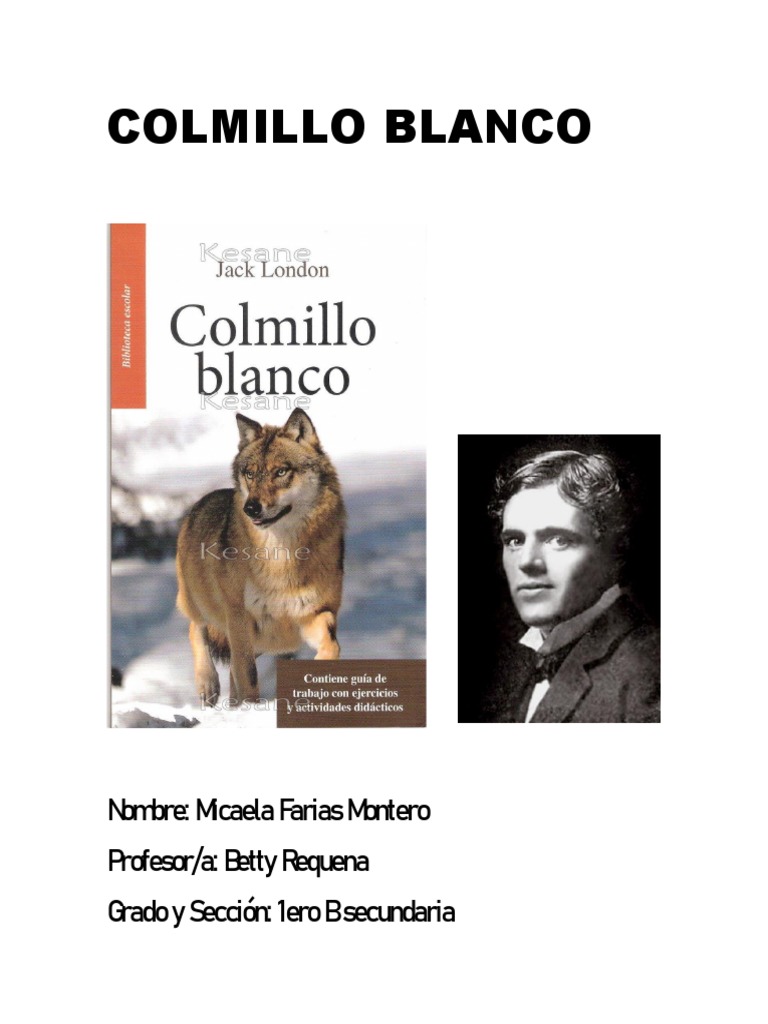 COLMILLO BLANCO Resumen | PDF | Colmillo Blanco