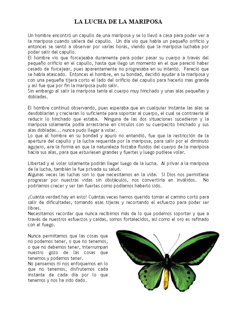 Reflexion - La Lucha de La Mariposa | PDF | Mariposa