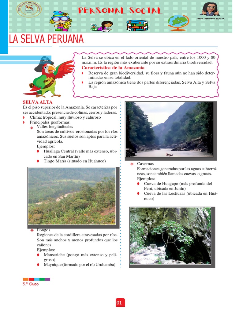LA SELVA PERUANA | PDF | Selva | Geografía