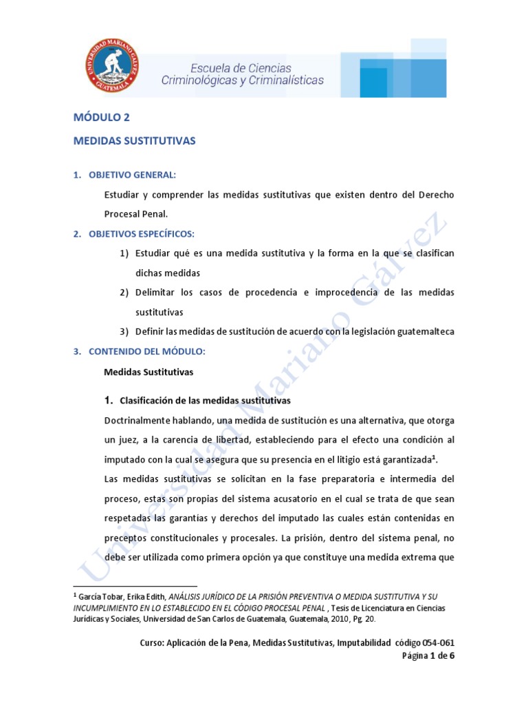 Módulo 2 Medidas Sustitutivas Pdf Derecho Penal Ley Procesal 9264