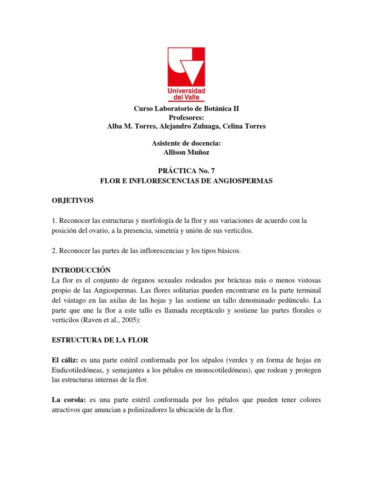 Practica 7 FLOR | PDF | Flores | Ramas de la botánica
