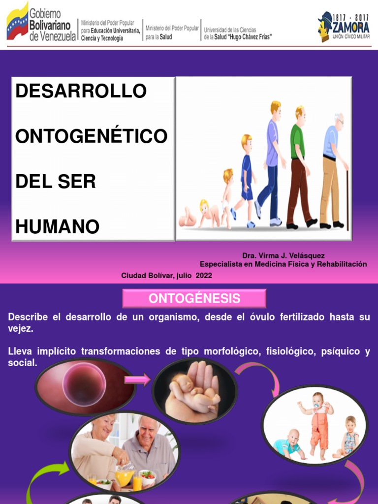 Desarrollo Ontogenético del Ser Humano | PDF | Cerebro | El embarazo