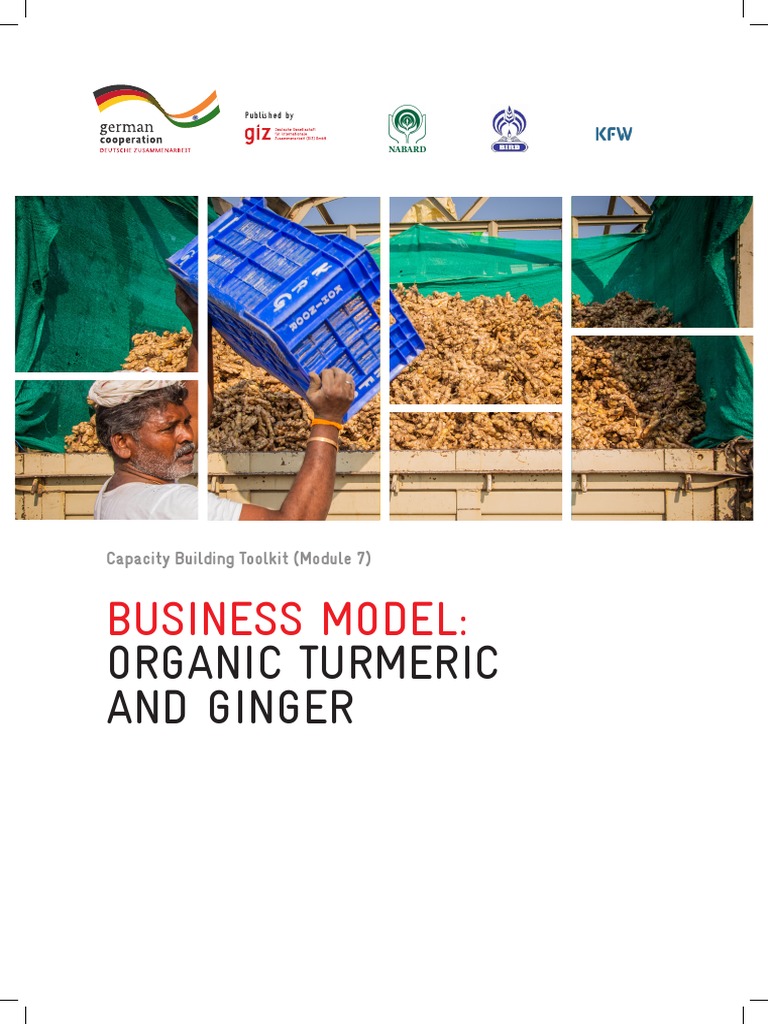 Business Model:: Organic Turmeric and Ginger | PDF | Agriculture | Organic Farming