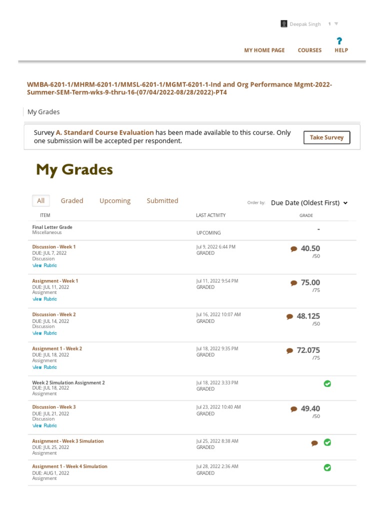 Individual and Organizational Performance Management Walden University ...