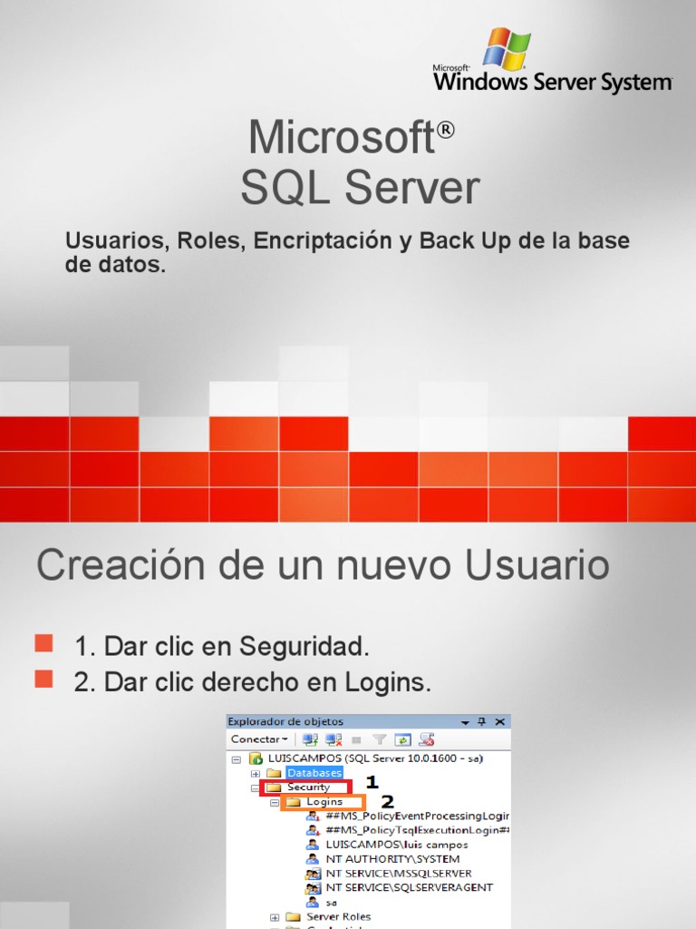 Seguridad SQL | PDF | Servidor SQL de Microsoft | Gestión de datos