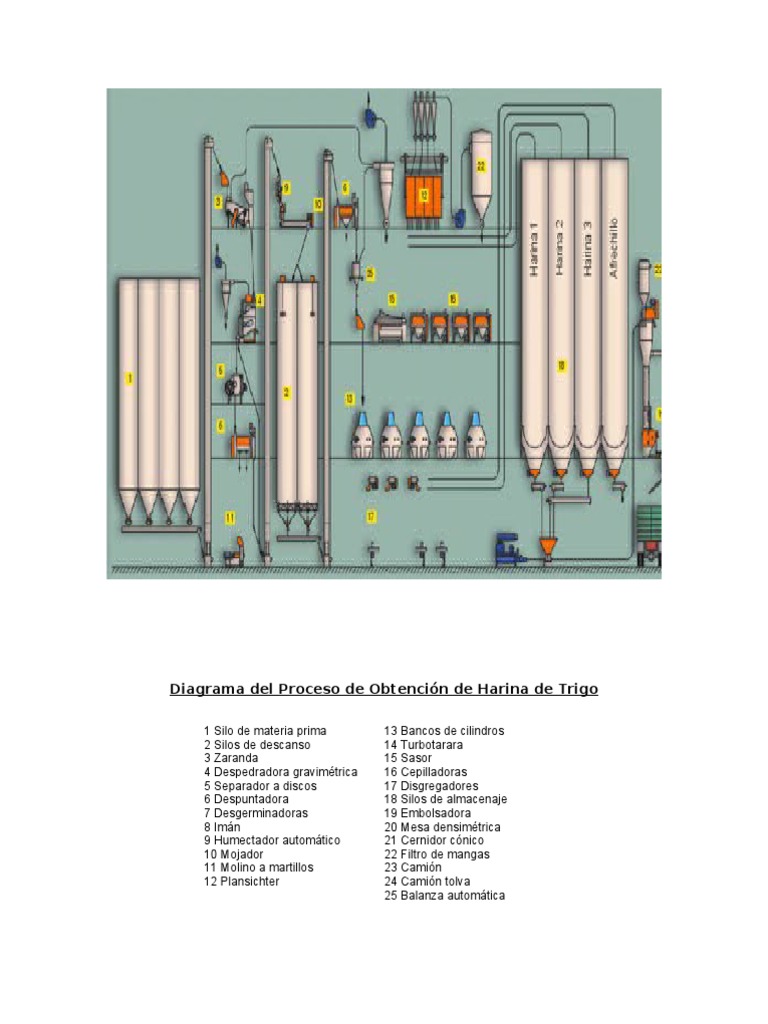 Diagrama Del Proceso de Obtención de Harina de Trigo | PDF