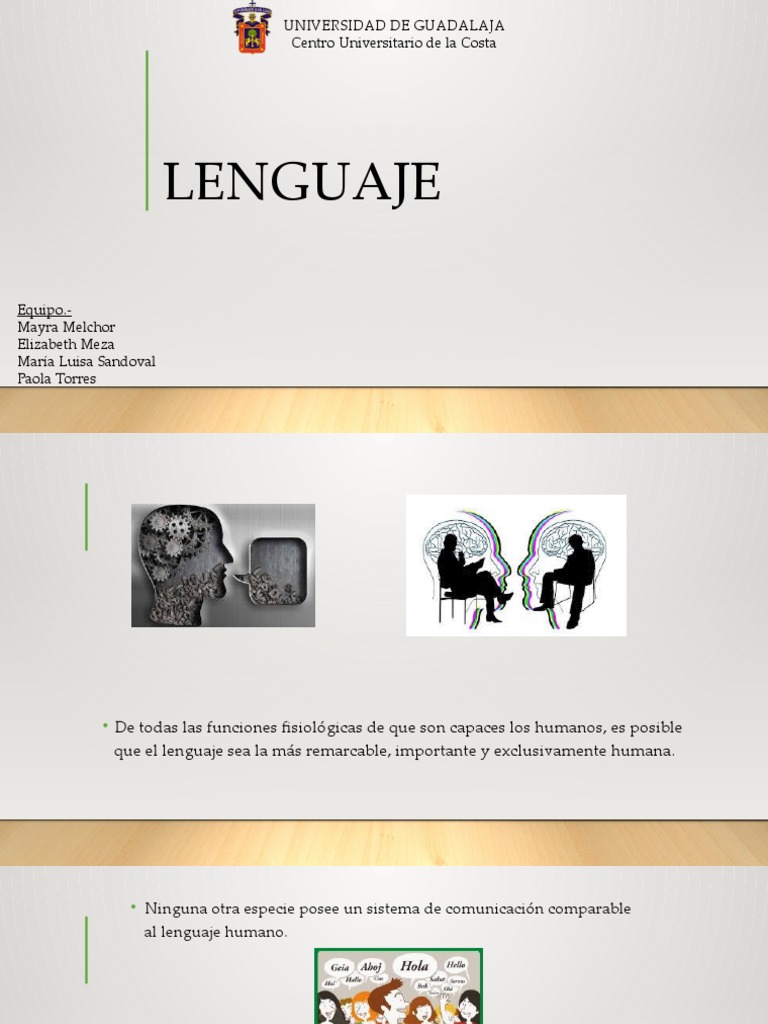 LENGUAJE | PDF | Afasia | Habla