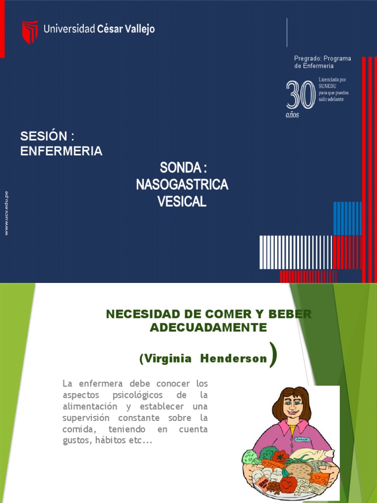 Sonda Nasogastrica Vesical Pdf Vejiga Urinaria Alimentos