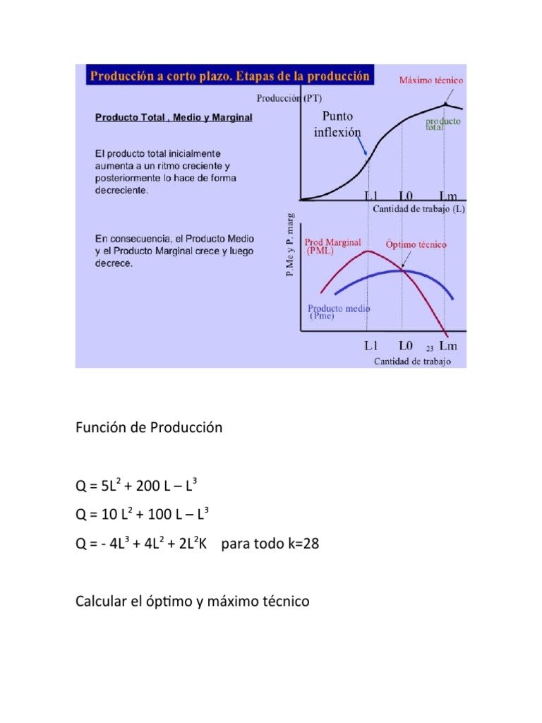 Óptimo y Máximo Técnico en Producción | PDF