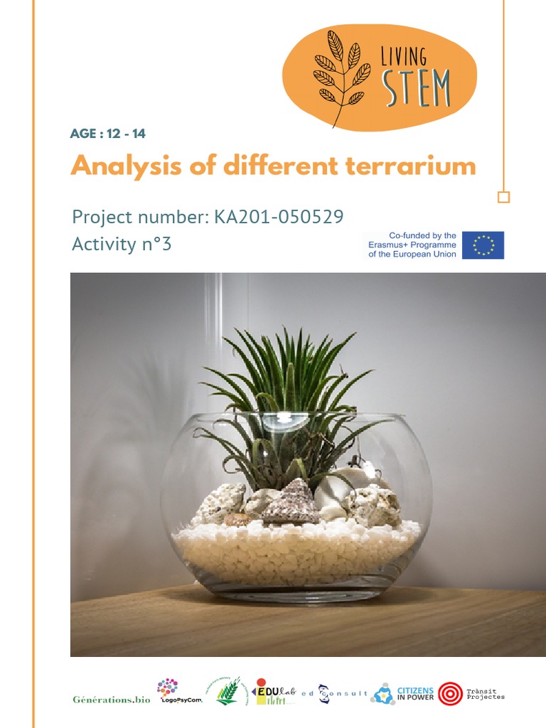 High School Terrarium Project Guide | PDF | Science | Life