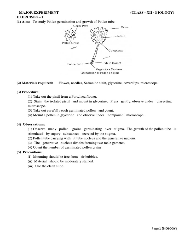 Xii Biology Practical | PDF | Meiosis | Ovary