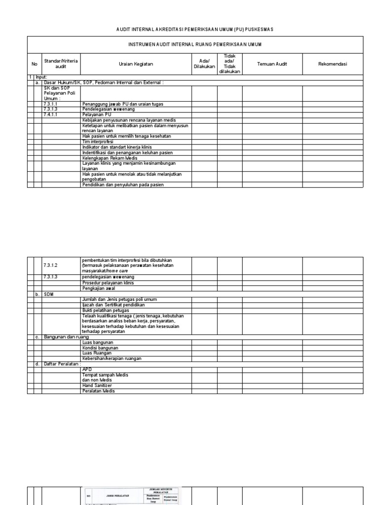 Instrumen Audit Pemeriksaan Umum | PDF