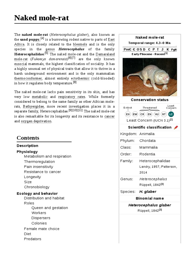 Naked Mole-Rat | PDF | Eusociality | Biology