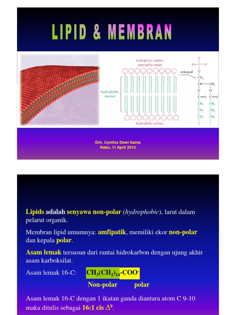 Struktur dan Fungsi Lipid Membran | PDF | Memasak, Makanan, & Anggur